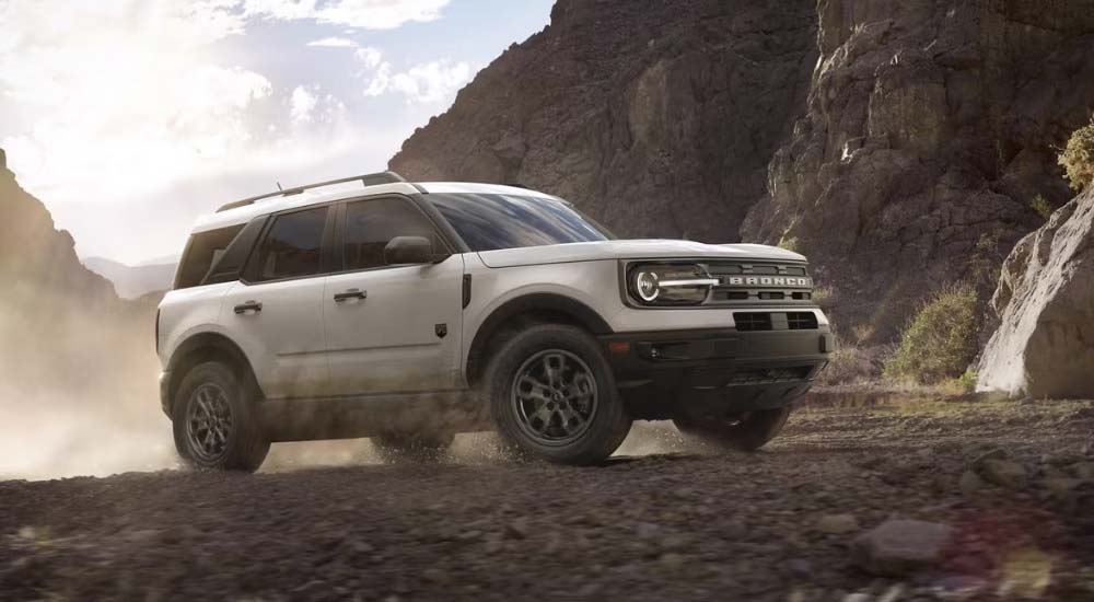 Kate Faupel Ford Blog - Kate Faupel Ford Blog | News, Updates, and Info